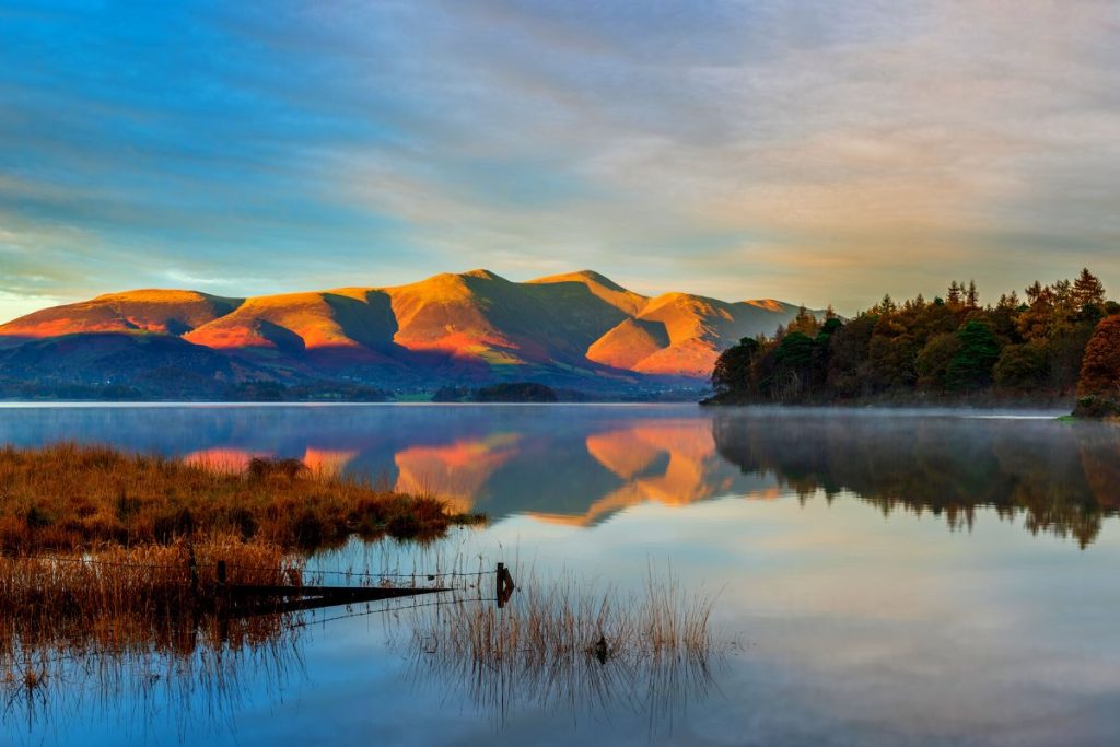 Craiyon: A Powerful AI Tool Helps Unleash Your Creativity